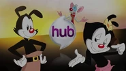Hub Network | Animaniacs Wiki | Fandom