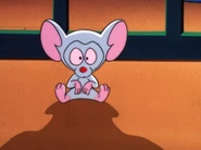 Romy | Animaniacs Wiki | Fandom