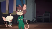 Julia | Animaniacs Wiki | Fandom