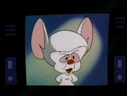 Episode 40: Casablanca Opening/Fair Game/The Slapper/Puppet Rulers ...