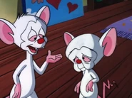 Romy | Animaniacs Wiki | Fandom