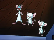 Romy | Animaniacs Wiki | Fandom