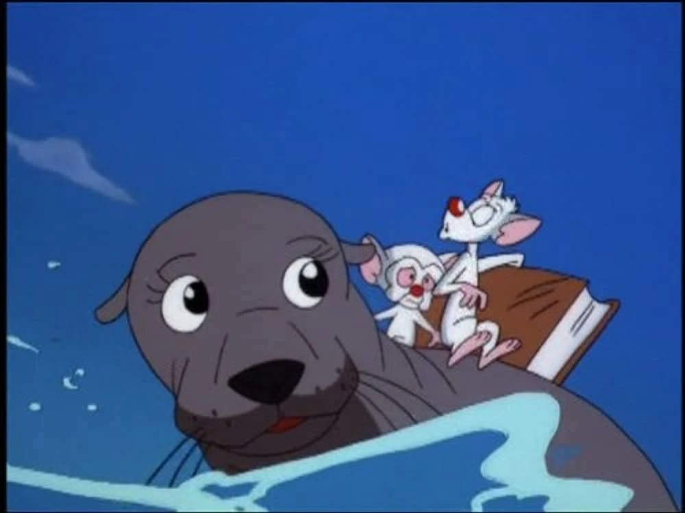 Winnie | Animaniacs Wiki | Fandom