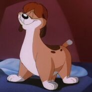 Runt/Gallery | Animaniacs Wiki | Fandom