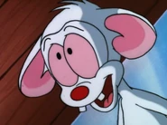 Romy | Animaniacs Wiki | Fandom