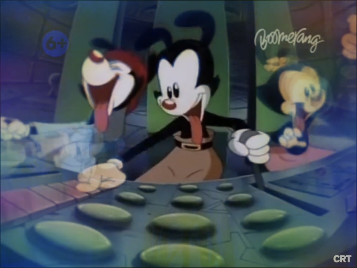 Animaniacs on Boomerang | Animaniacs Wiki | Fandom