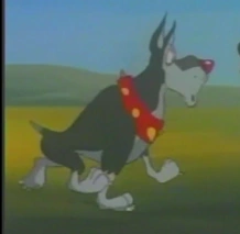 Perro | Animaniacs Wiki | Fandom