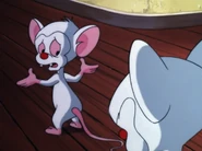 Romy | Animaniacs Wiki | Fandom