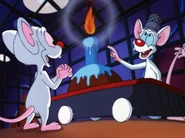 Romy | Animaniacs Wiki | Fandom