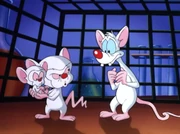 Romy | Animaniacs Wiki | Fandom