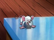 Romy | Animaniacs Wiki | Fandom