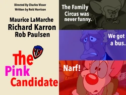 Episode 17 (PATB): The Pink Candidate | Animaniacs Wiki | Fandom