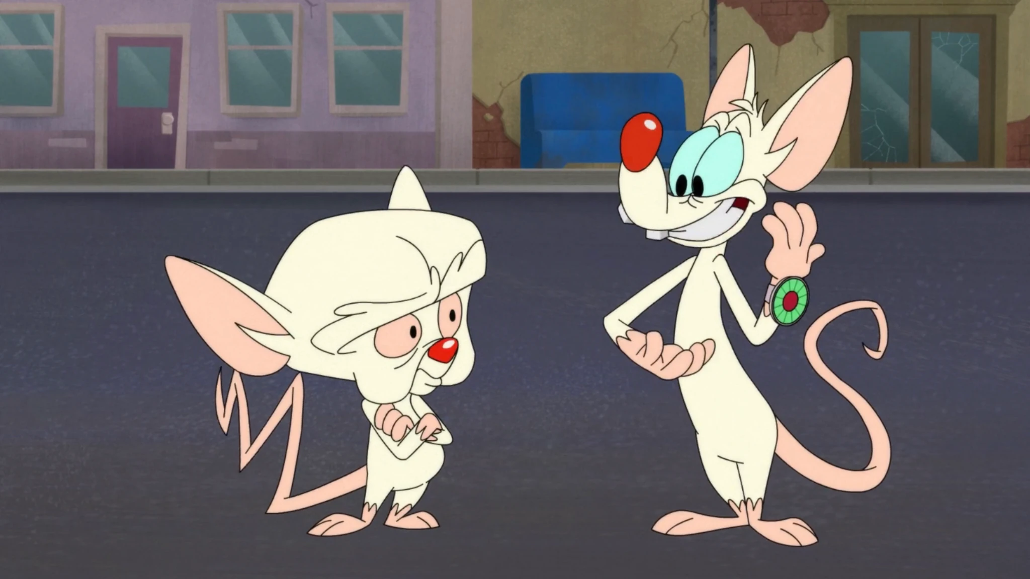 Animaniacs Pinky Og Hjernen