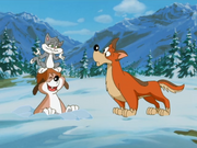 Buttons | Animaniacs Wiki | Fandom