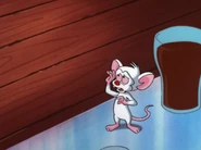 Romy | Animaniacs Wiki | Fandom
