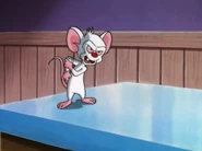 Romy | Animaniacs Wiki | Fandom