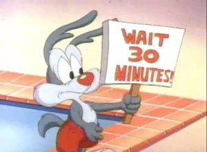 Calamity Coyote | Animaniacs Wiki | Fandom