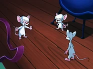 Romy | Animaniacs Wiki | Fandom