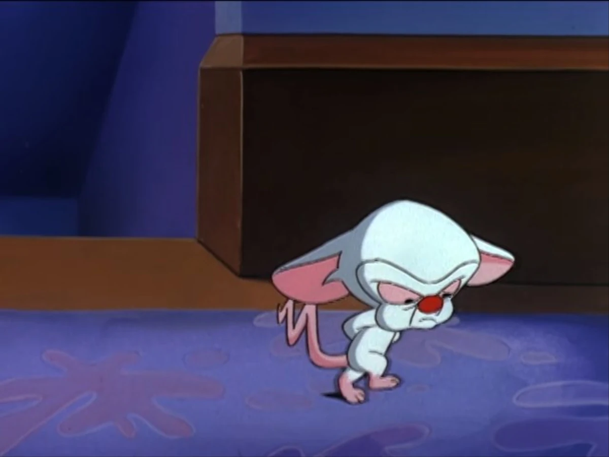 Sad Brain | Animaniacs Wiki | Fandom