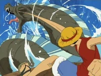 Monkey D. Luffy | Wiki Animapedia | Fandom