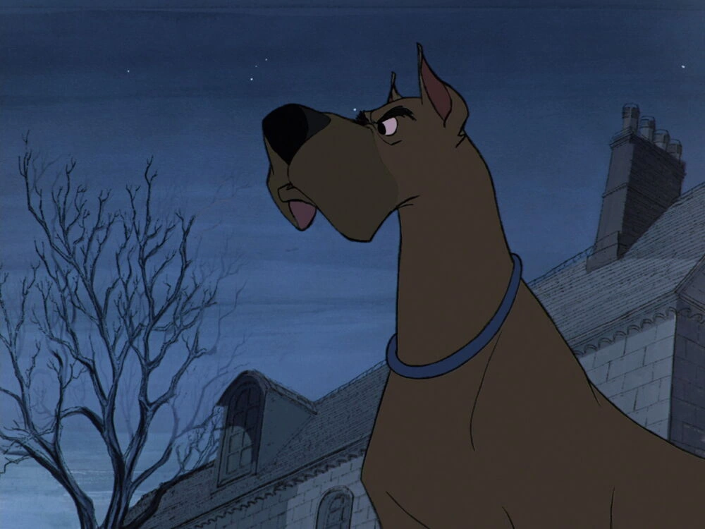 Danny | Animated Animals Wiki | Fandom