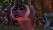 Lemurs (Madagascar) | Animated Animals Wiki | Fandom