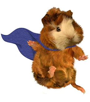 Linny the Guinea Pig | Animated Animals Wiki | Fandom