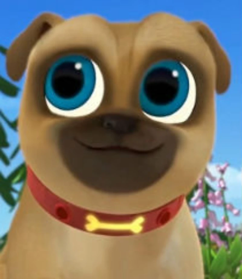 Rolly (Puppy dog pals | Animated Animals Wiki | Fandom