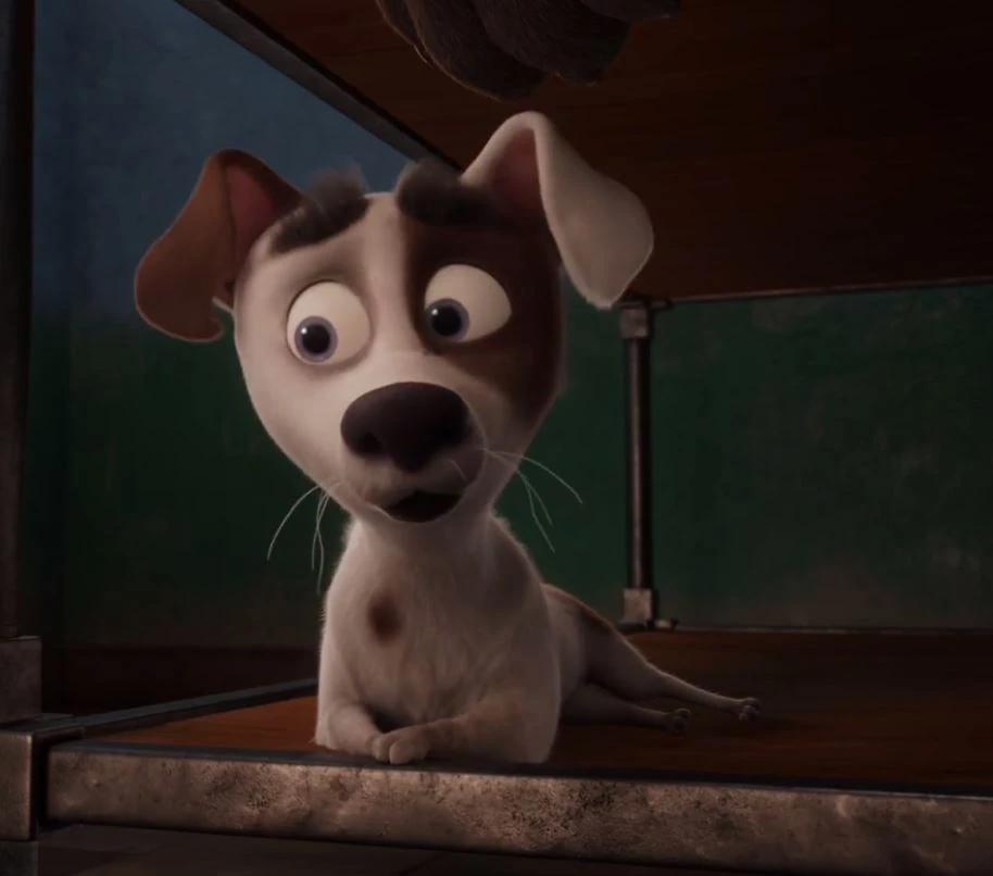 Jack | Animated Animals Wiki | Fandom