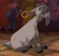 List of species in cartoon | Animated Animals Wiki | Fandom