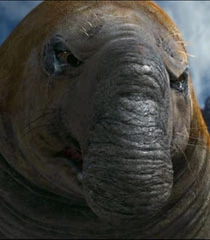 Barry | Animated Animals Wiki | Fandom