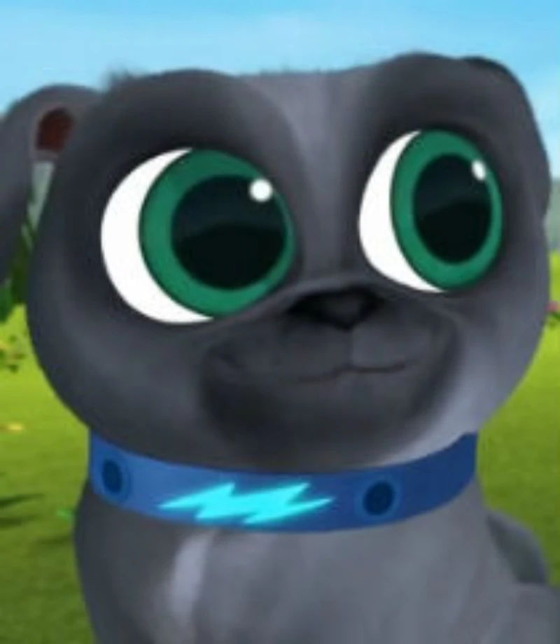 Bingo (Puppy dog pals) | Animated Animals Wiki | Fandom