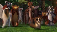 Lemurs (Madagascar) | Animated Animals Wiki | Fandom