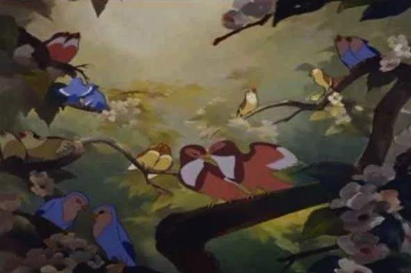 Birds | Animated Animals Wiki | Fandom