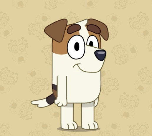 Jack (Bluey) | Animated Animals Wiki | Fandom