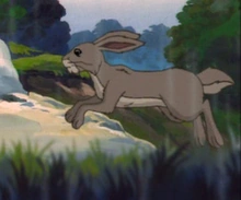 Larch | Animated Animals Wiki | Fandom