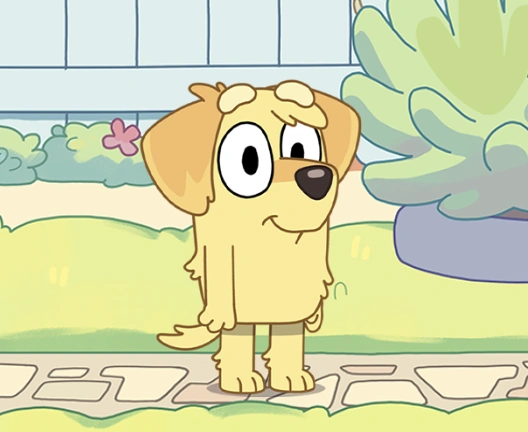 Chucky | Animated Animals Wiki | Fandom