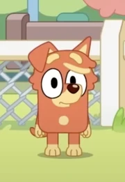 Dusty (Bluey) | Animated Animals Wiki | Fandom