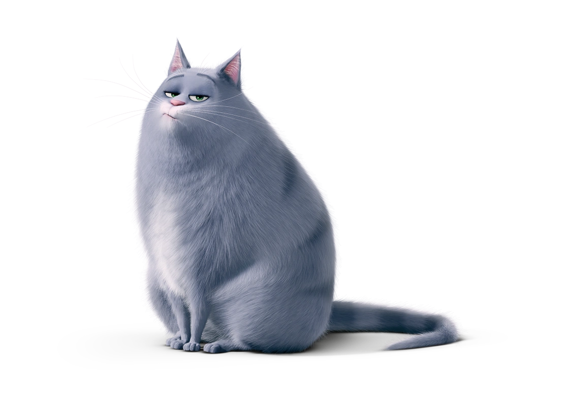 Chloe | Animated Animals Wiki | Fandom