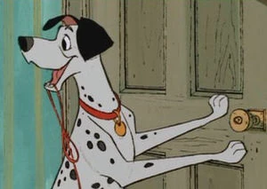 Pongo | Animated Animals Wiki | Fandom