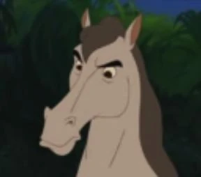 Sahara | Animated Animals Wiki | Fandom