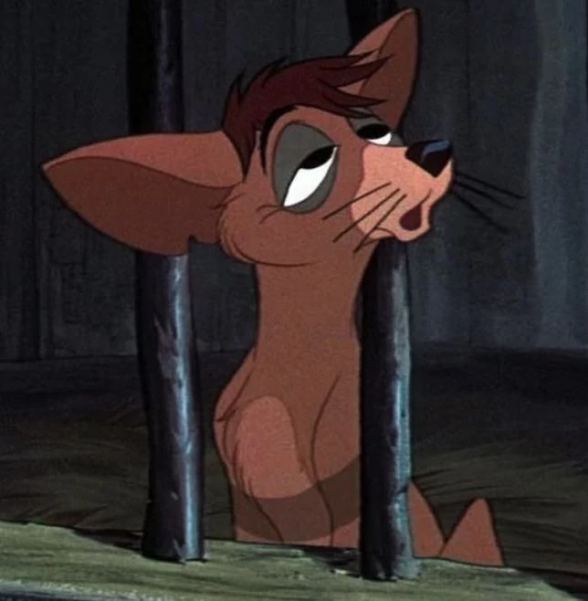 Pedro | Animated Animals Wiki | Fandom