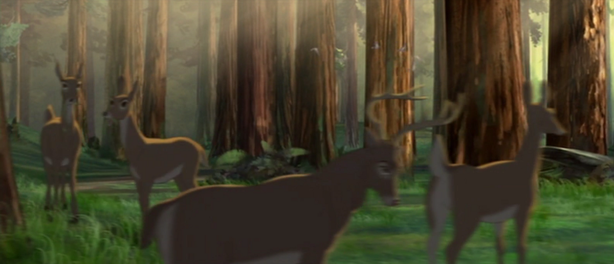 Deer | Animated Animals Wiki | Fandom