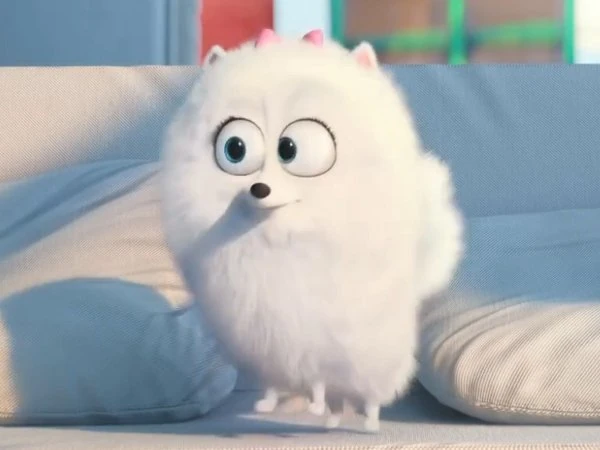 Gidget | Animated Animals Wiki | Fandom