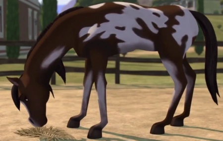 Tomahawk | Animated Animals Wiki | Fandom