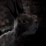 Nettle | Animated Animals Wiki | Fandom