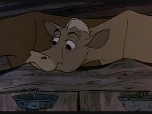 Princess (Cow) | Animated Animals Wiki | Fandom
