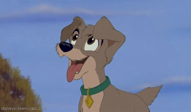 Scamp | Animated Animals Wiki | Fandom