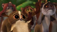 Lemurs (Madagascar) | Animated Animals Wiki | Fandom