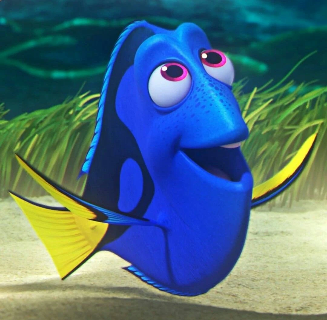 Dory | Animated Animals Wiki | Fandom